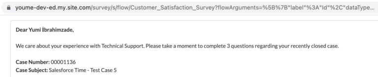 How to Pass Parameters to Flows in Experience Sites - Salesforce Time