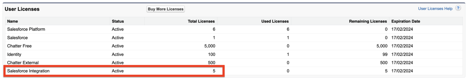 Salesforce Integration User License Salesforce Time