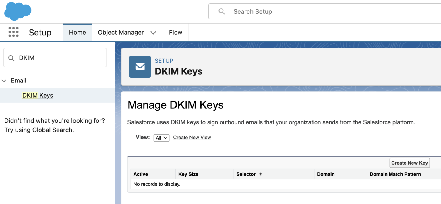 How to Setup DKIM in Salesforce - Salesforce Time