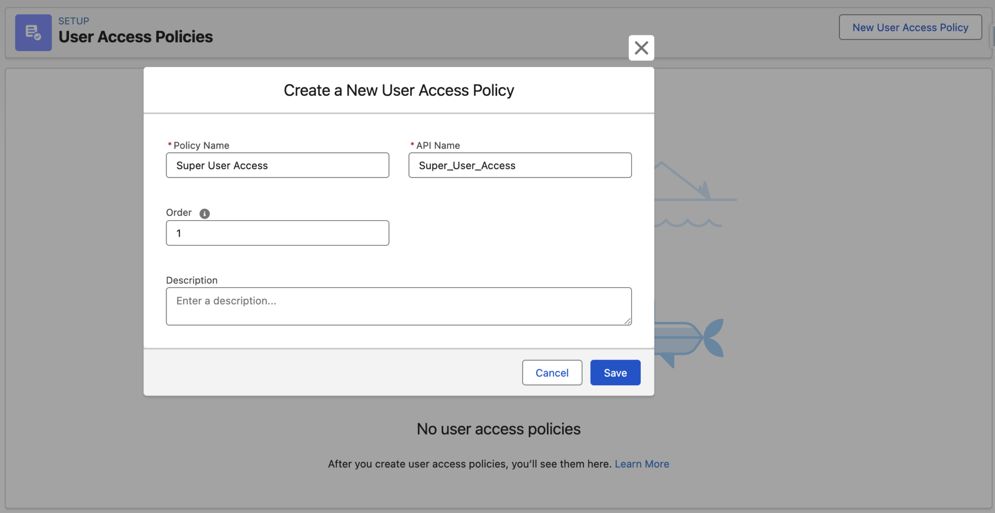 User Access Policies in Salesforce - Salesforce Time
